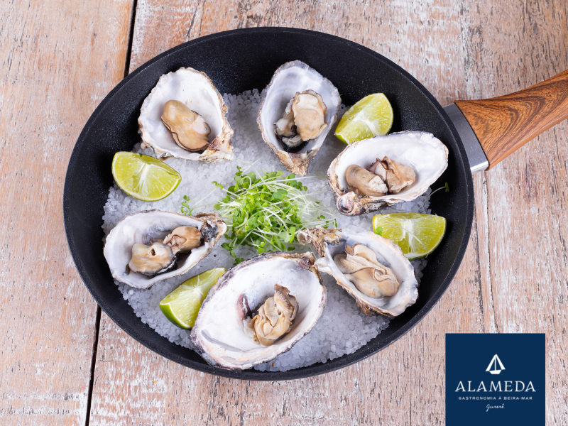 Onde comer ostras em Florianópolis: melhores dicas
